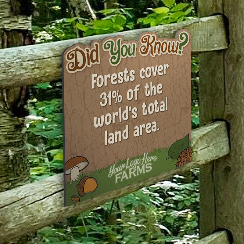 Forest Trivia Trail - (10 fact panels) – MacArt Studios